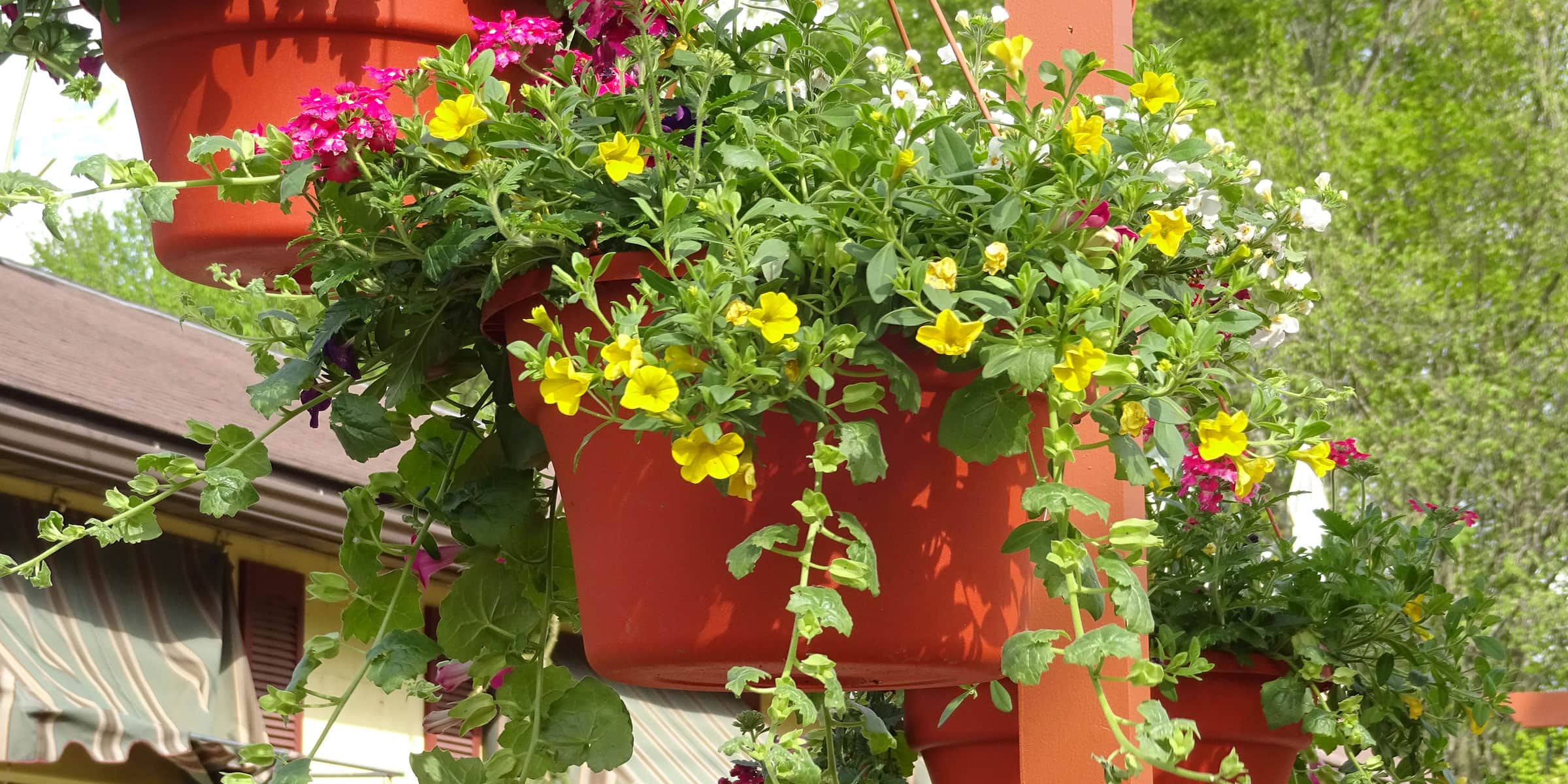 Seven Maples Gift & Garden | Monroe, CT Gift Shop & Nursery